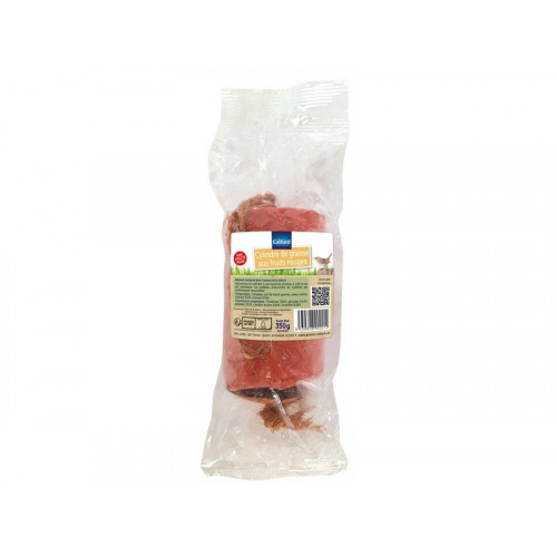 Centrale Brico Cylindre de graisse aux fruits rouges 350g pour oiseaux
