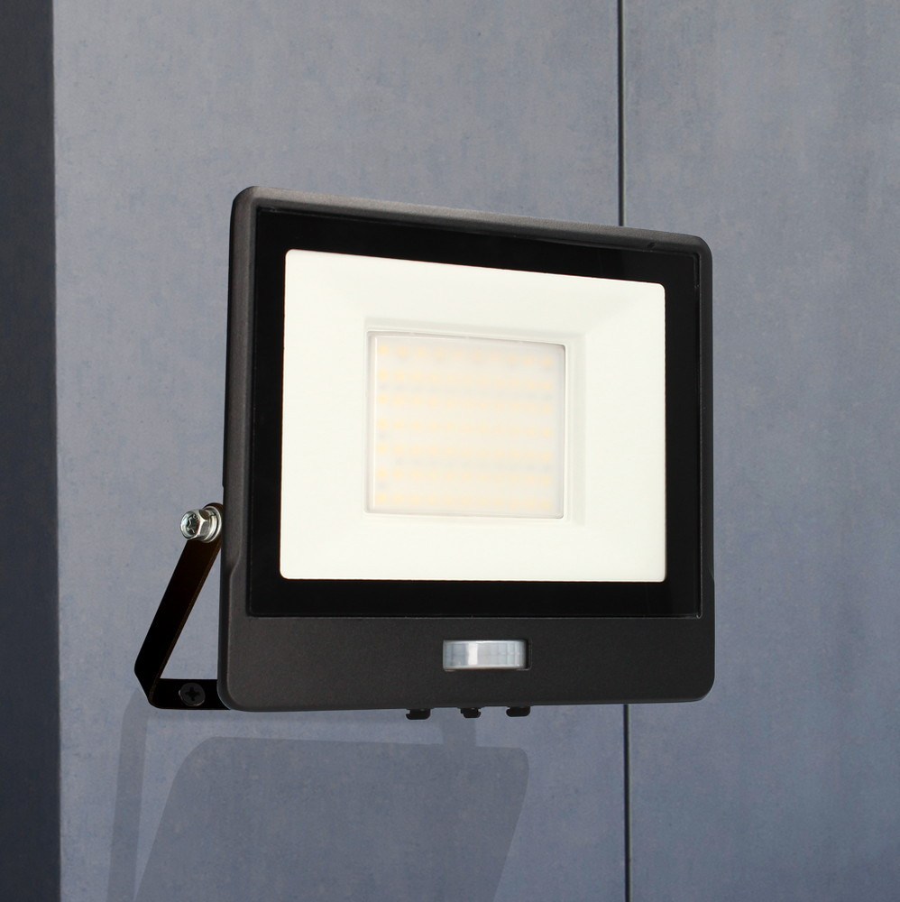 Arlux Lighting Projecteur mural ALTO - 50W, 4000K, 4300lm, Noir - D...