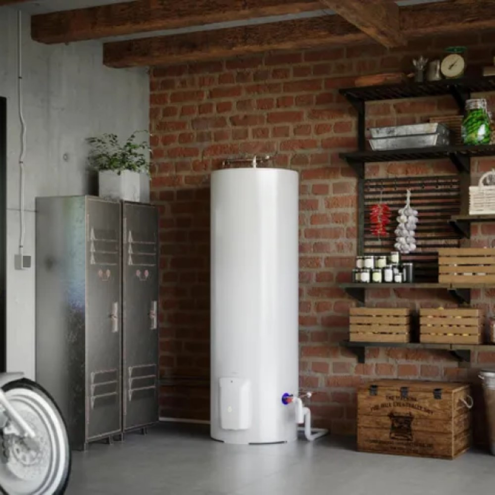 SAUTER Chauffe-eau électrique CANGAR vertical sur socle 300L - ACI ...