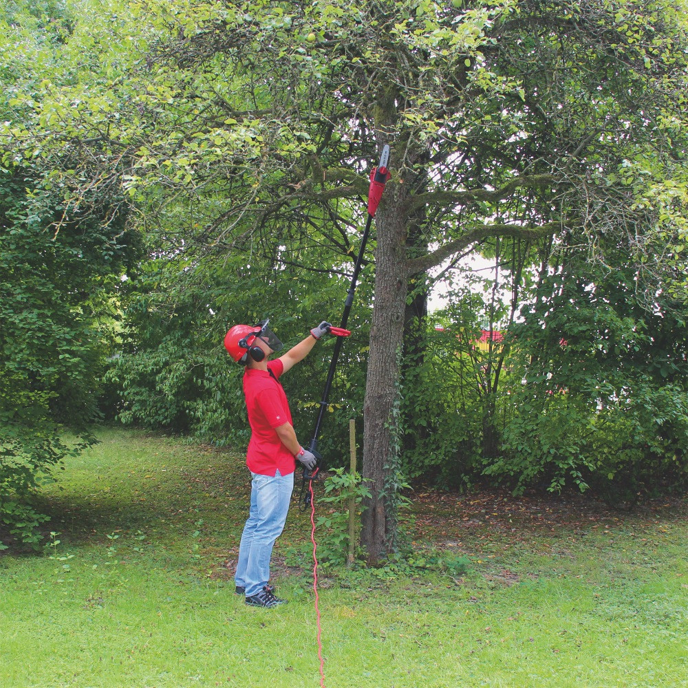 Einhell Ebrancheur électrique télescopique GC-EC 750 T