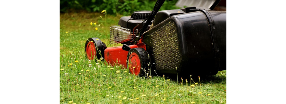 Coupe du gazon - Centrale Brico